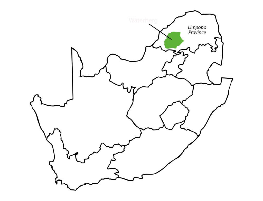 WATERBERG BIOQUEST - Kaingo
